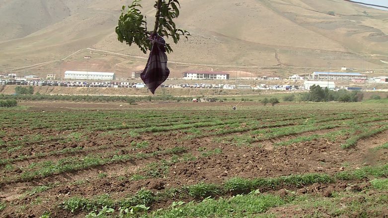 Iran to create no man’s land on Kurdish border, gives 72-hour notice to ...